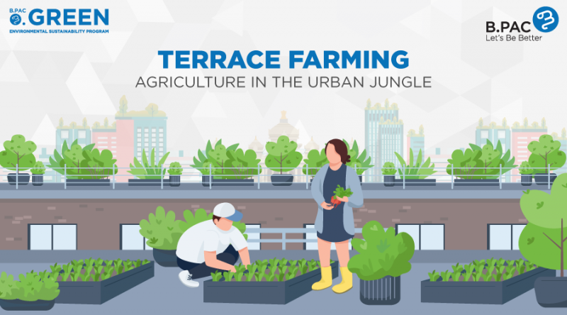 Terrace Farming: Agriculture in the urban jungle - B.GREEN | B.PAC