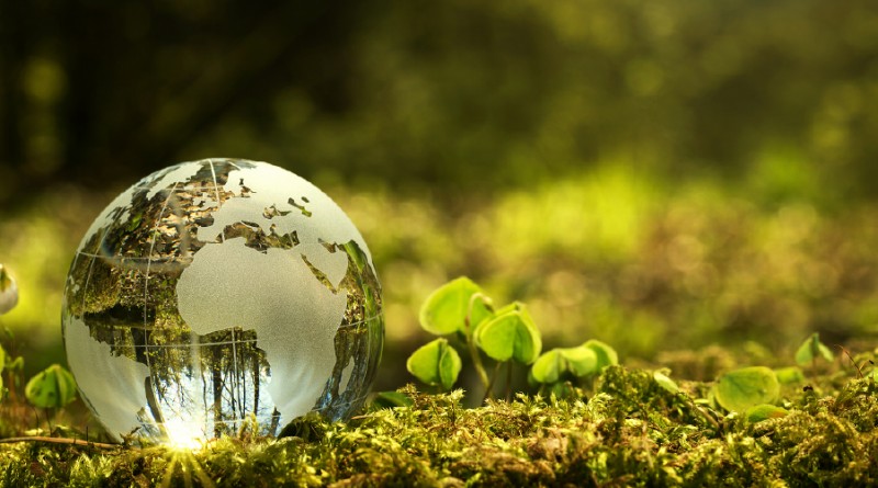 Nature Conservation: How Can You Make a Difference? - B.PAC