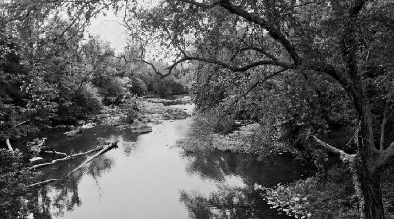 The Lost River Of Bengaluru: A closer look at River Vrishabhavathi - B.PAC