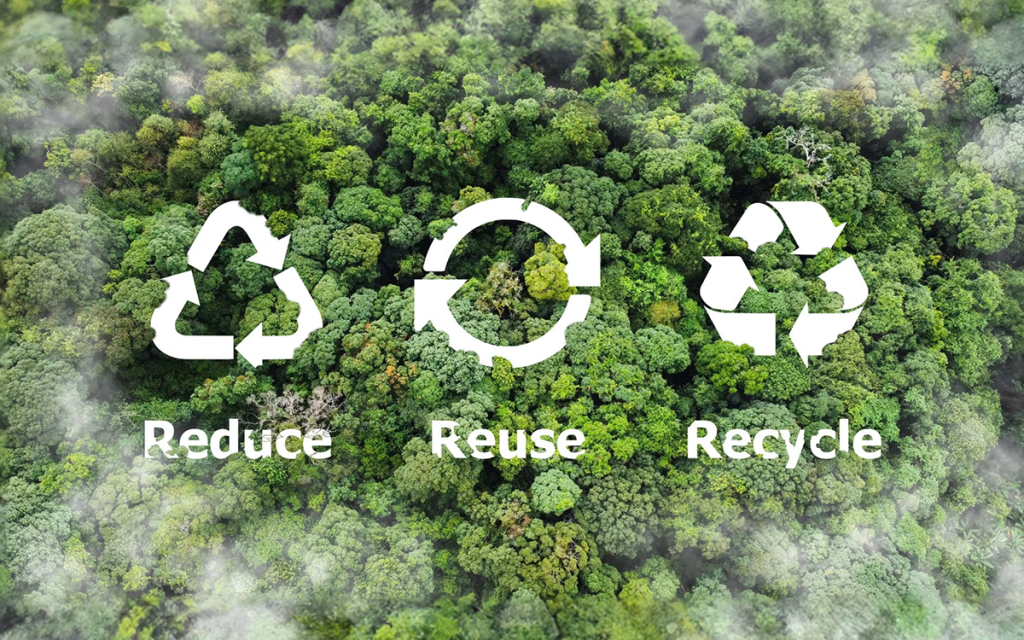 From Linear to Circular Building a Sustainable Waste Management System ...