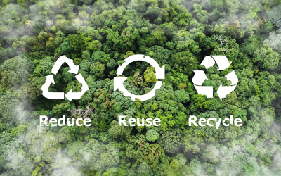 From Linear to Circular Building a Sustainable Waste Management System ...